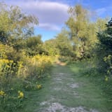 Banstead Woods Nature Circular, Surrey, England - 673 Reviews, Map ...