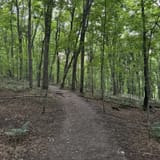 Timms Hill Green Trail: Wisconsin Highpoint, Wisconsin - 301 Reviews ...