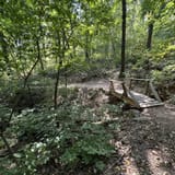 Blowing Springs Park Extended Loop, Arkansas - 1,824 Reviews, Map ...