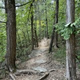 Blowing Springs Park Extended Loop, Arkansas - 1,824 Reviews, Map ...