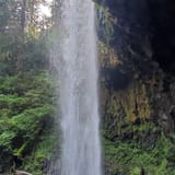 Latourell Falls Loop, Oregon - 7,448 Reviews, Map | AllTrails