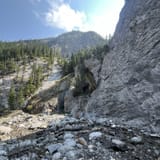 Heart Creek Trail, Alberta, Canada - 3,788 Reviews, Map | AllTrails