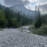 Heart Creek Trail, Alberta, Canada - 3,788 Reviews, Map | AllTrails