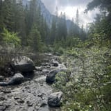 Heart Creek Trail, Alberta, Canada - 3,788 Reviews, Map | AllTrails