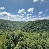 Whitaker Point Trail (Hawksbill Crag), Arkansas - 3,991 Reviews, Map ...
