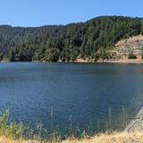 Cross Marin Trail to Kent Lake, California - 132 Reviews, Map | AllTrails