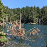 Cross Marin Trail to Kent Lake, California - 132 Reviews, Map | AllTrails