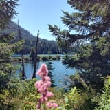 Gold Creek Pond Loop, Washington - 2,726 Reviews, Map | AllTrails