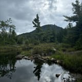 Crane Mountain Loop Hike, New York - 1,396 Reviews, Map | AllTrails