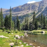 East Inlet Trail, Colorado - 612 Reviews, Map | AllTrails