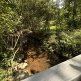 Tanyard Perimeter Loop, Arkansas - 3,137 Reviews, Map | AllTrails