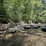 Tanyard Perimeter Loop, Arkansas - 3,137 Reviews, Map | AllTrails