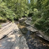 Tanyard Perimeter Loop, Arkansas - 3,137 Reviews, Map | AllTrails