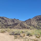 Rinconada Canyon Trail, New Mexico - 1,932 Reviews, Map | AllTrails