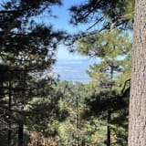 Bear Wallow Spring, Arizona - 391 Reviews, Map | AllTrails