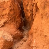 Navajo Loop Trail, Utah - 4,788 Reviews, Map | AllTrails