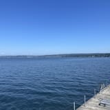 WA 520 Trail, Washington - 708 Reviews, Map | AllTrails