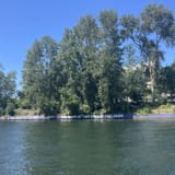 WA 520 Trail, Washington - 708 Reviews, Map | AllTrails