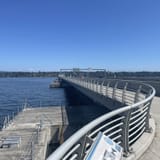 WA 520 Trail, Washington - 708 Reviews, Map | AllTrails