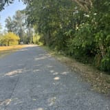 Magnuson Park Waterfront Trail, Washington - 356 Reviews, Map | AllTrails