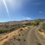 Tom Cooke and Steamboat Ditch Loop, Nevada - 1,287 Reviews, Map | AllTrails