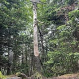 Mount Marshall via the Calamity Brook Trail, New York - 962 Reviews ...