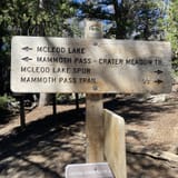 McLeod Lake Trail, California - 1,195 Reviews, Map | AllTrails