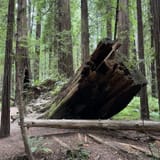 Drury-Chaney Trail, California - 928 Reviews, Map | AllTrails