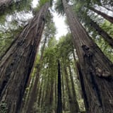 Drury-Chaney Trail, California - 942 Reviews, Map | AllTrails