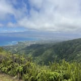 Waihe'e Ridge Trail, Maui, Hawaii - 9,316 Reviews, Map | AllTrails