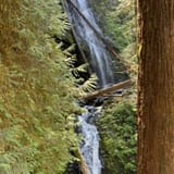 Murhut Falls Trail, Washington - 989 Reviews, Map | AllTrails