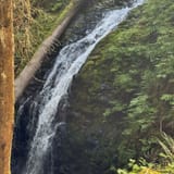 Murhut Falls Trail, Washington - 989 Reviews, Map | AllTrails