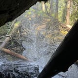 Murhut Falls Trail, Washington - 981 Reviews, Map | AllTrails