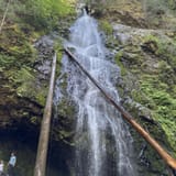Murhut Falls Trail, Washington - 989 Reviews, Map | AllTrails