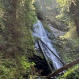 Murhut Falls Trail, Washington - 989 Reviews, Map | AllTrails
