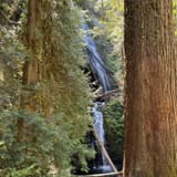 Murhut Falls Trail, Washington - 989 Reviews, Map | AllTrails