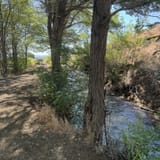 Tom Cooke and Steamboat Ditch Loop, Nevada - 1,287 Reviews, Map | AllTrails