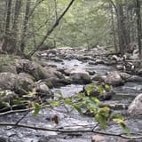 Reeves Brook Loop Trail, New York - 4,918 Reviews, Map | AllTrails