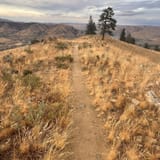 Chelan Butte Trail, Washington - 582 Reviews, Map | AllTrails