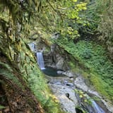 Racehorse Falls Trail, Washington - 433 Reviews, Map | AllTrails