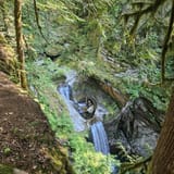 Racehorse Falls Trail, Washington - 433 Reviews, Map | AllTrails