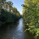 PoCo Traboulay Trail Loop, British Columbia, Canada - 1,219 Reviews ...