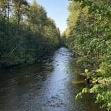 PoCo Traboulay Trail Loop, British Columbia, Canada - 1,219 Reviews ...