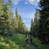 Raspberry Ridge Lookout Loop, Alberta, Canada - 602 Reviews, Map ...