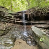 Kinlock Falls, Alabama - 273 Reviews, Map | AllTrails