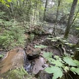 Kinlock Falls, Alabama - 273 Reviews, Map | AllTrails