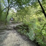 Kinlock Falls, Alabama - 273 Reviews, Map | AllTrails