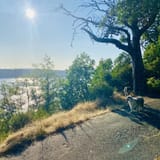 Point Defiance Park Outer Loop, Washington - 4,686 Reviews, Map | AllTrails