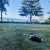 Point Defiance Park Outer Loop, Washington - 4,686 Reviews, Map | AllTrails