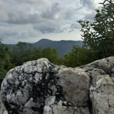 Sam Knob Trail, North Carolina - 1,599 Reviews, Map | AllTrails